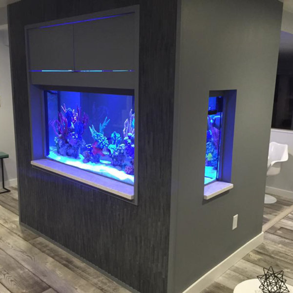 Aquarium Services for Saltwater and Freshwater - OSA-Services