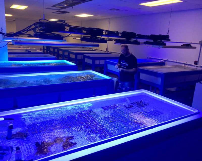 OSA Services | Aquarium Design & Installation