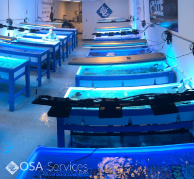 OSA Aquaculture Center - OSA-Services